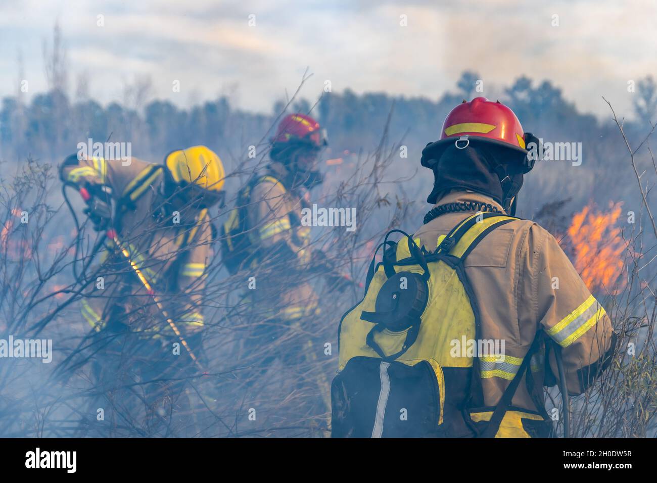 Man putting out fire forest hi-res stock photography and images - Alamy