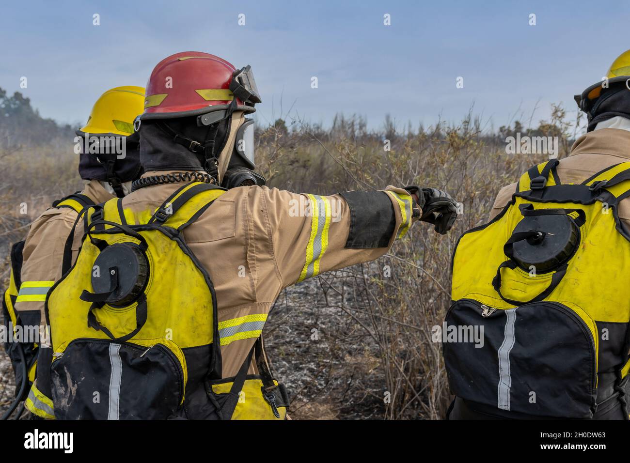 Firefighter giving instructions on how to attack the forest fire Stock ...