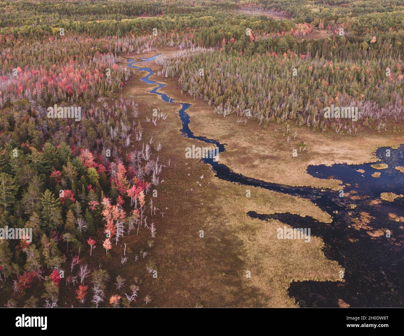Fall Foliage And River Systems of Baxter State Park Stock Photo - Alamy