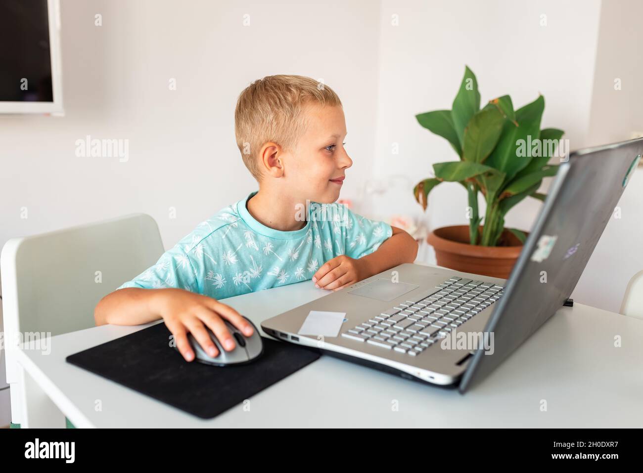 Little young school boy working at home with a laptop and class notes ...