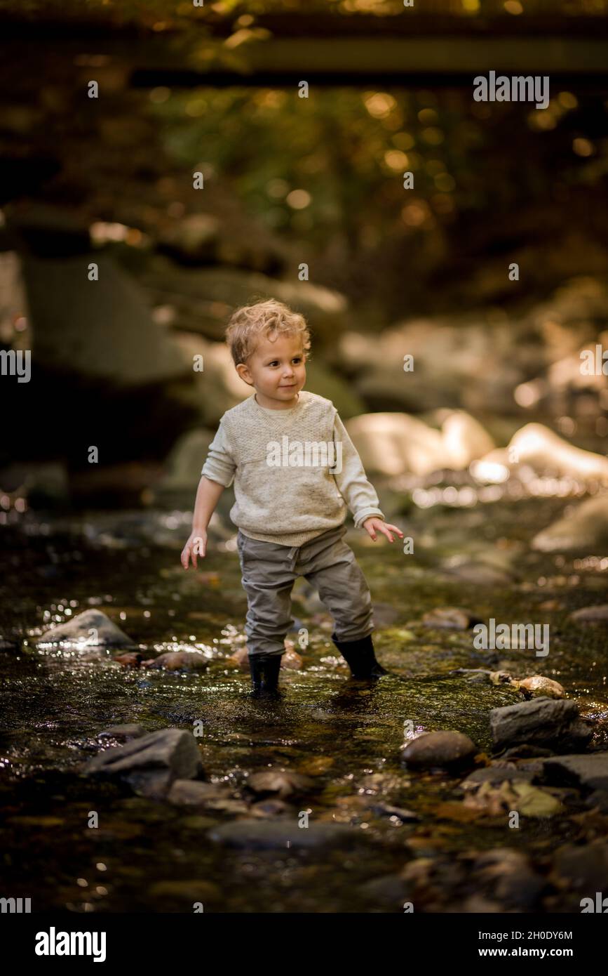 Toddler wading in shallow stream Stock Photo - Alamy