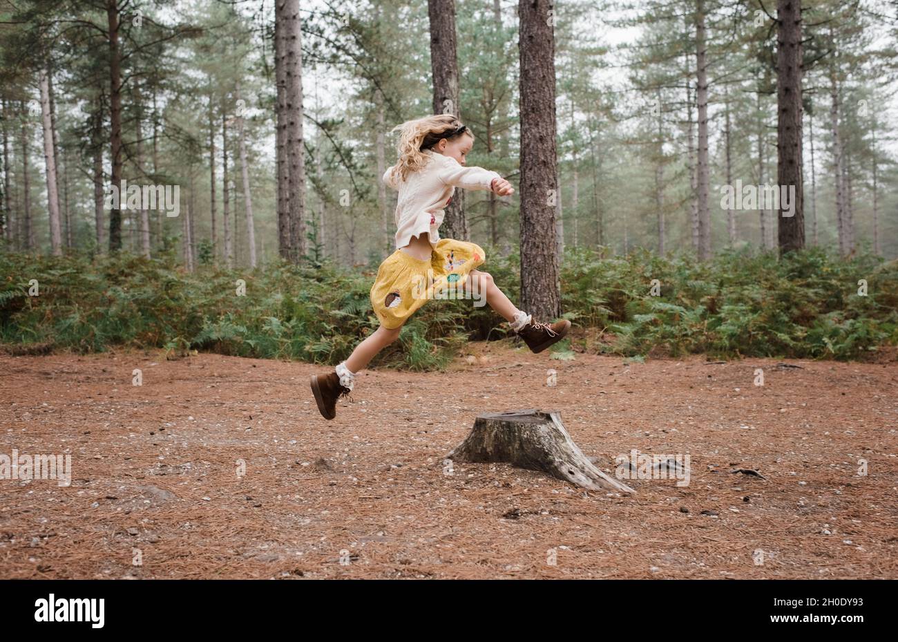 girl jumping over a tree stump in the forest in autumn Stock Photo - Alamy