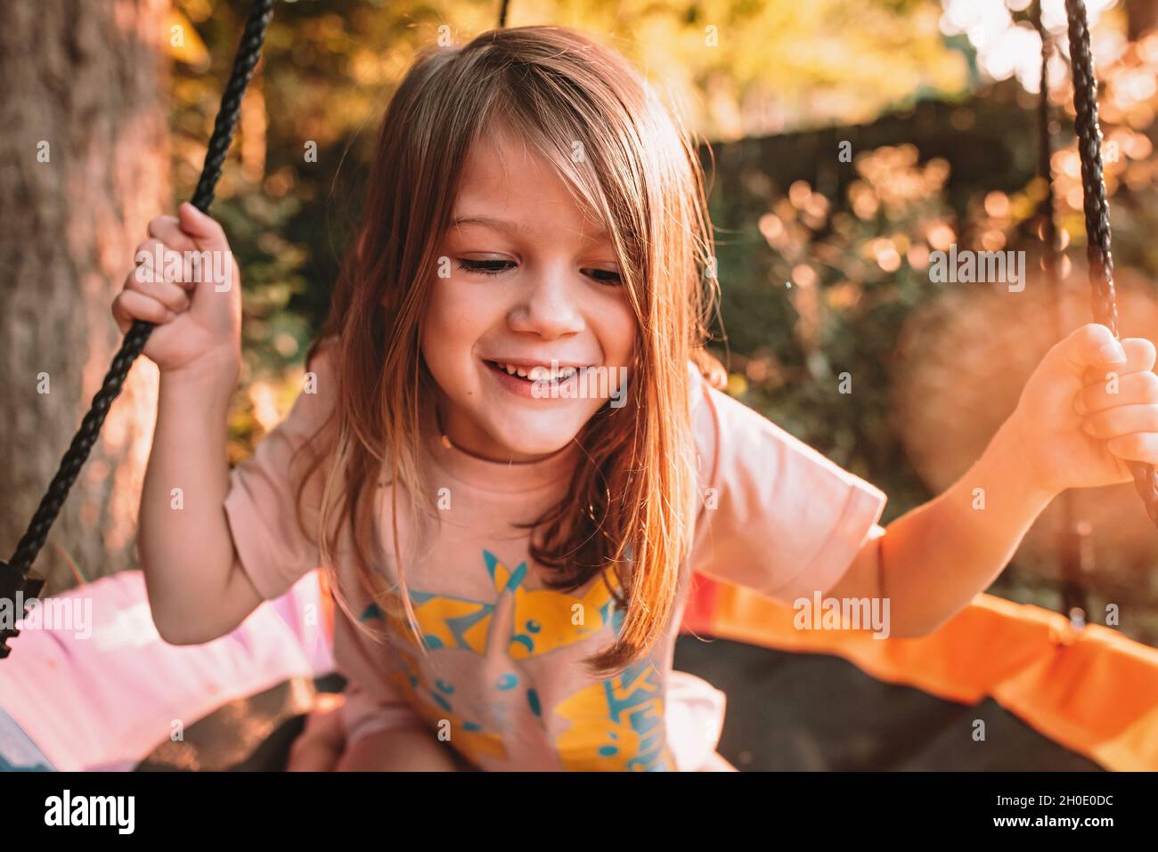 Tree Swing In Sunset