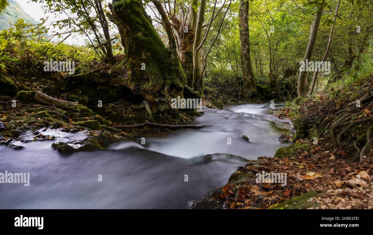 Long exposure shot of a river flowing through the wild woods Stock ...