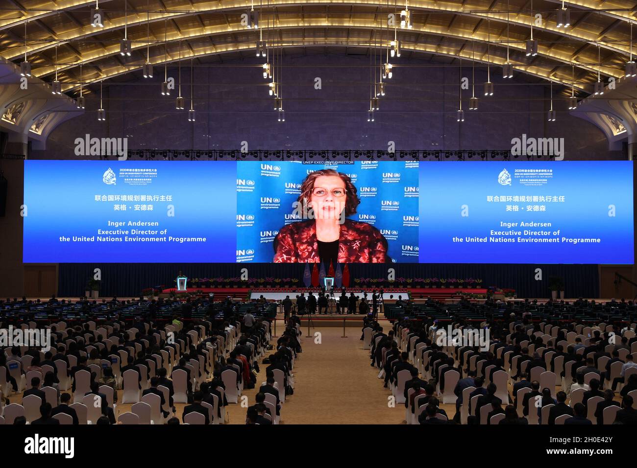 Un environment programme inger andersen hi-res stock photography and images - Alamy