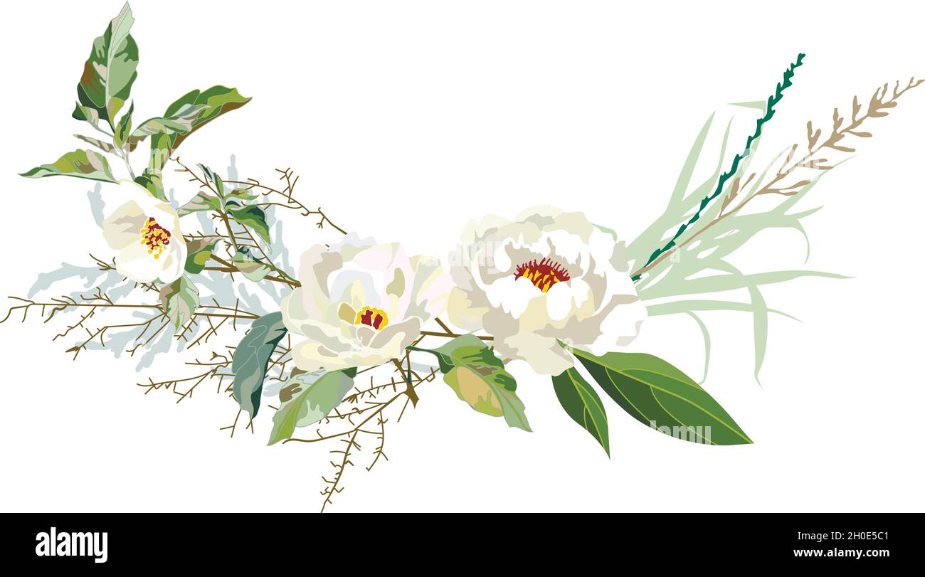 Bouquet of blooming white peonies. Decorative element for creating a ...