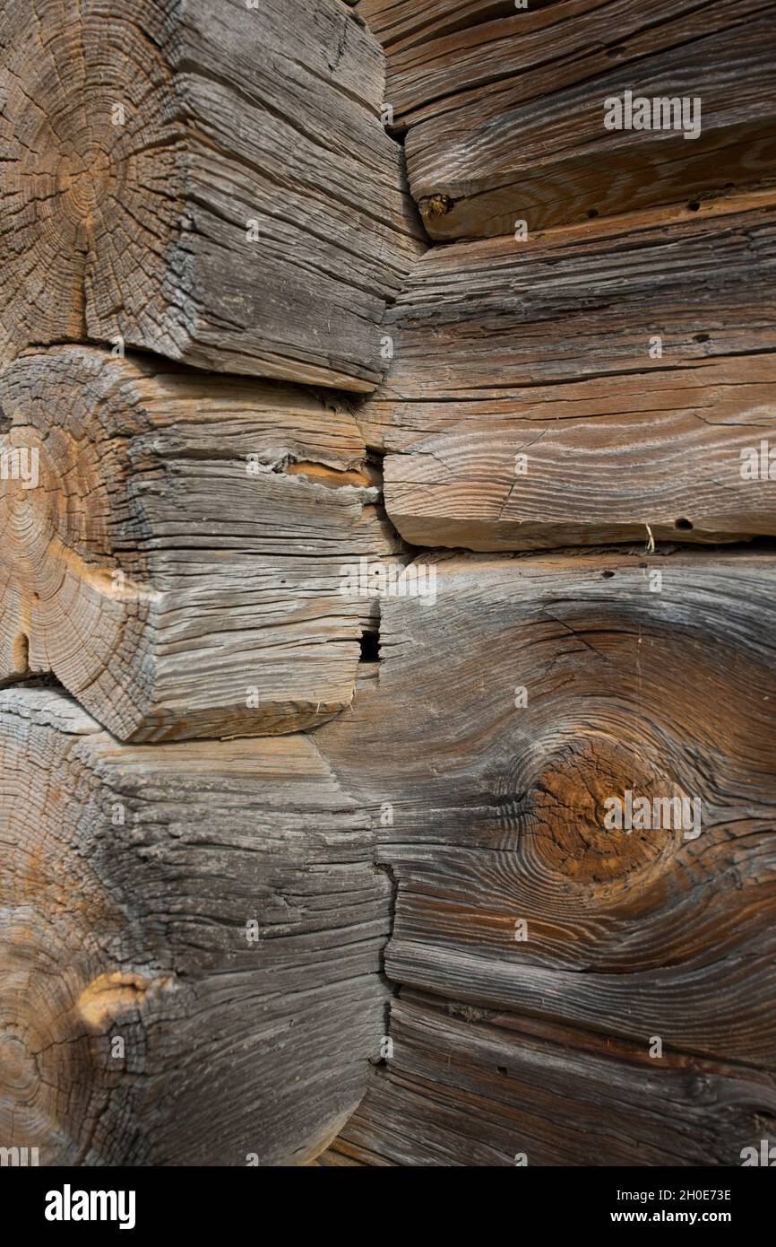 Wooden logs of an old house. Close-up. Weathered natural gray wood ...