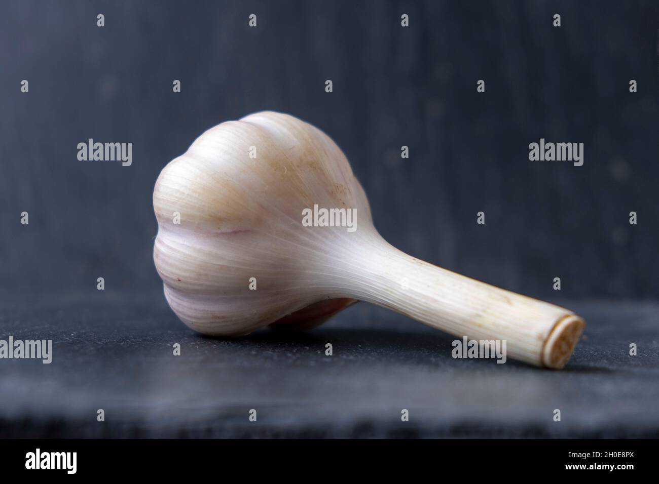 Garlic head cut out hi-res stock photography and images - Alamy