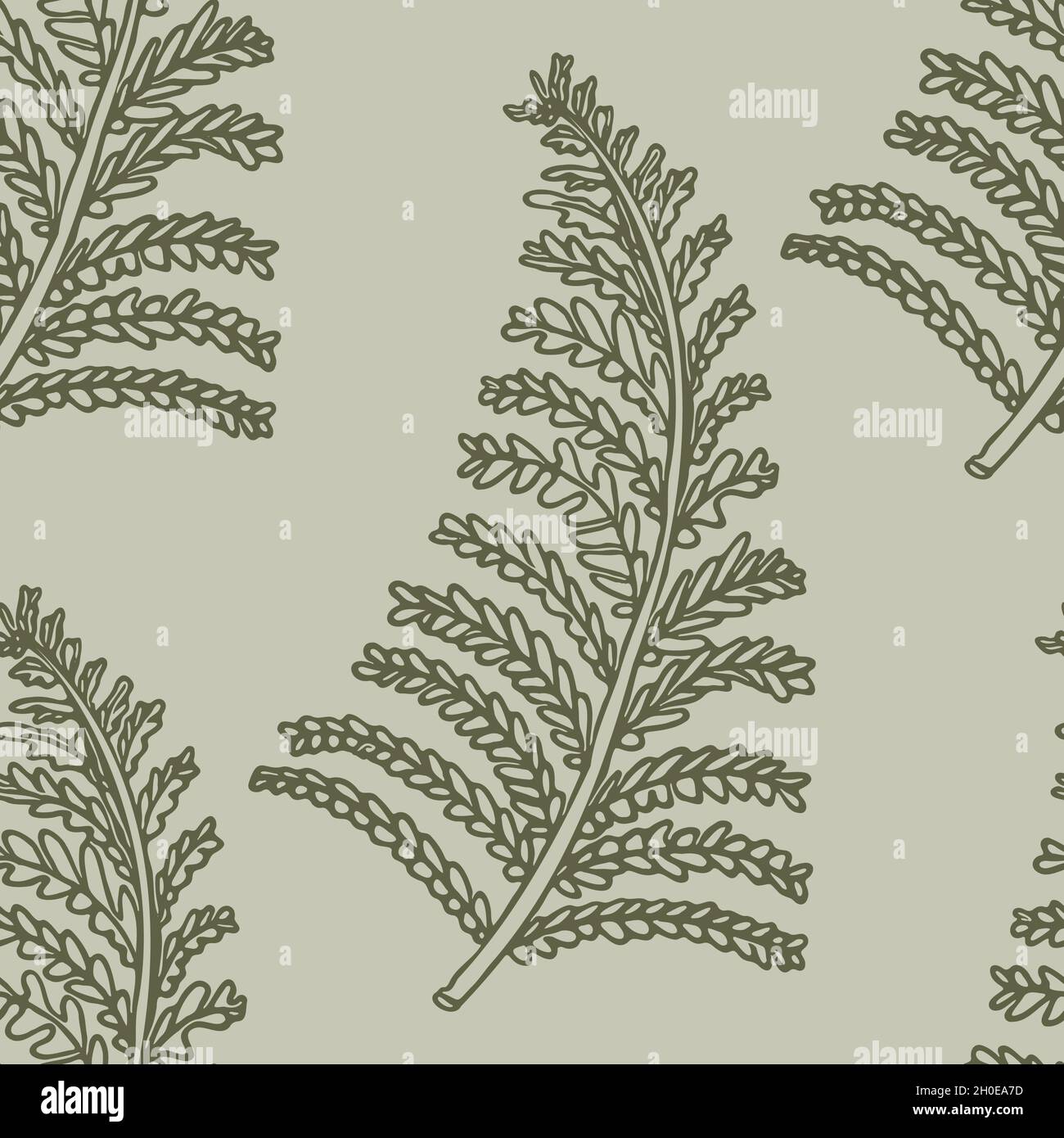 Retro botanical fern frond vector pattern. Seamless vintage ecological ...