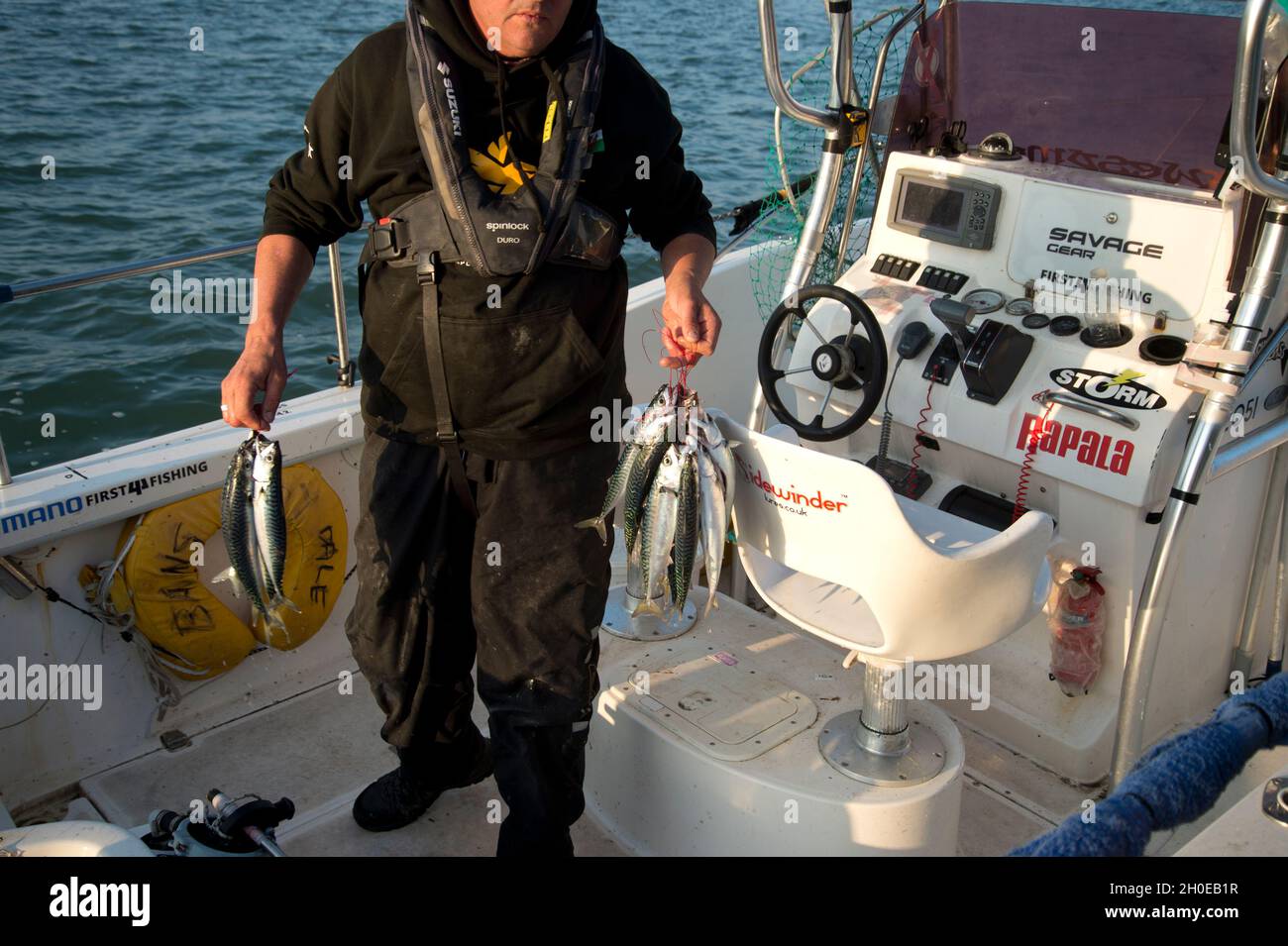 Wales August 2021. Pembrokeshire. Dale. Return of fishing trip with ...