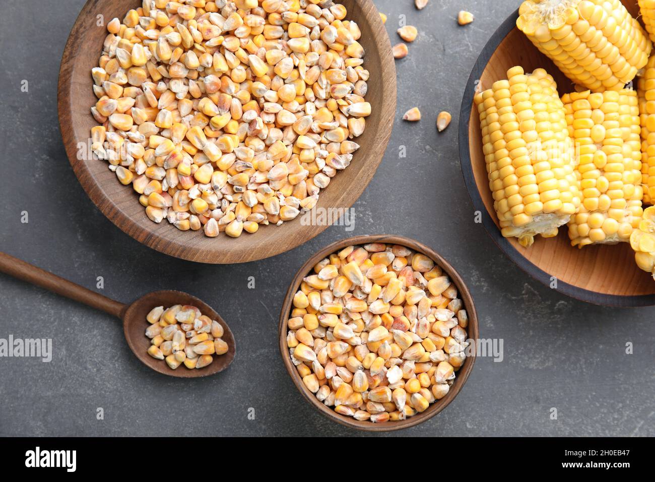 Flat lay composition with dried corn kernels on grey background Stock ...