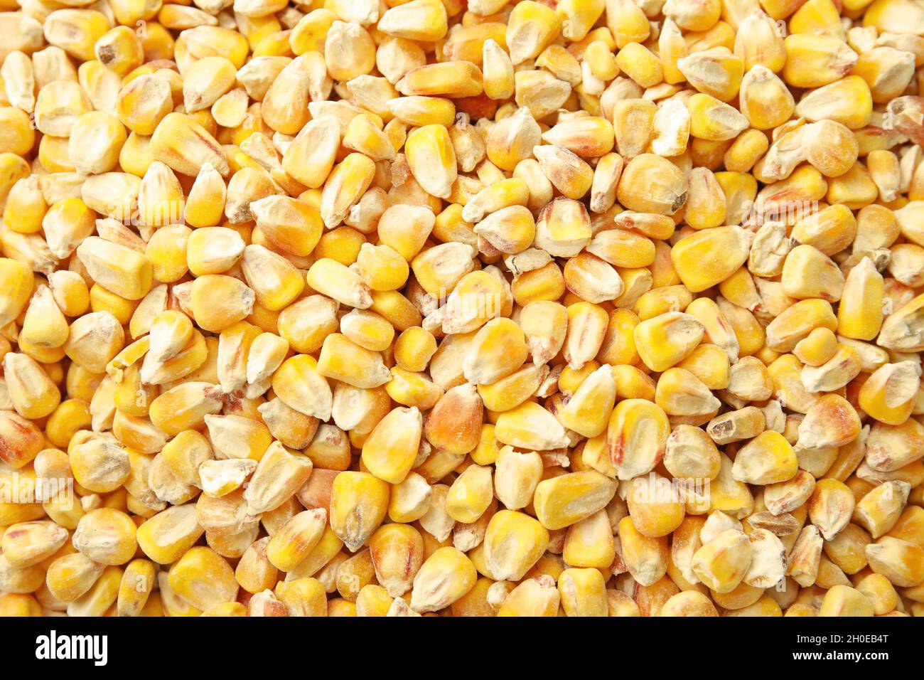 Dried corn kernels as background, top view Stock Photo - Alamy