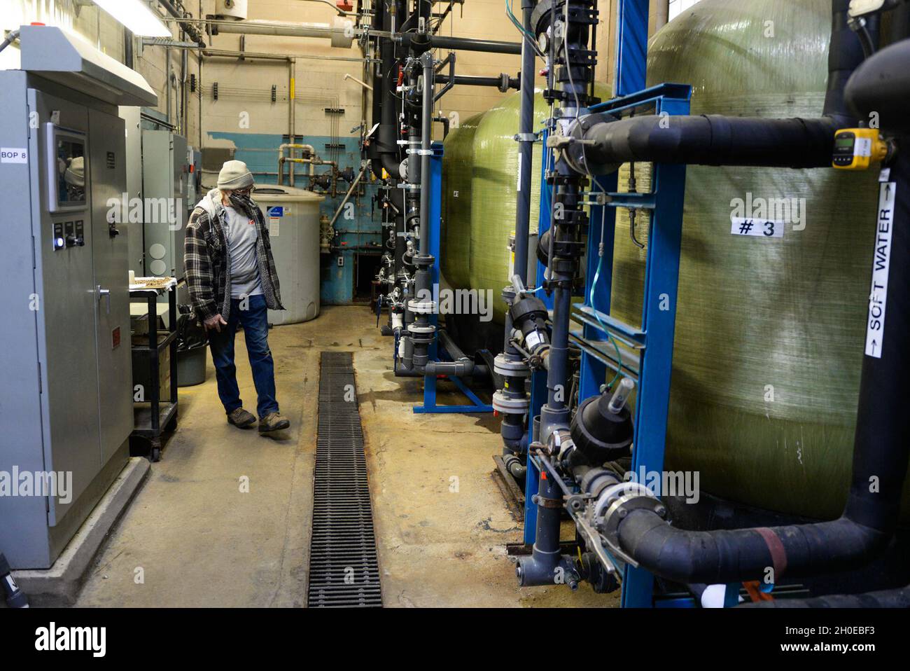 Water plant of the year 2021 hi-res stock photography and images - Alamy