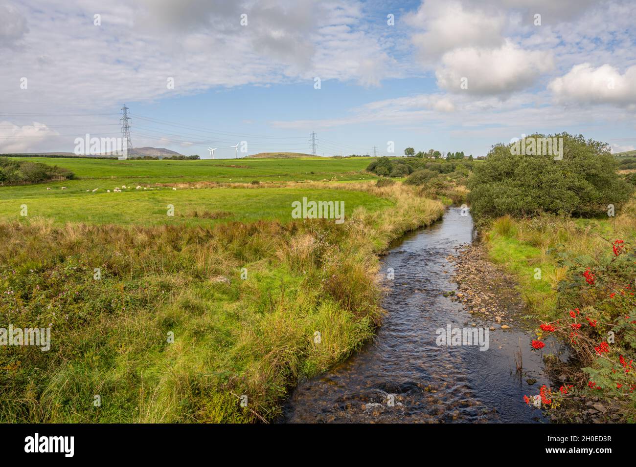 Landscape near Bryncir between Criccieth and Caernarfon north Wales ...