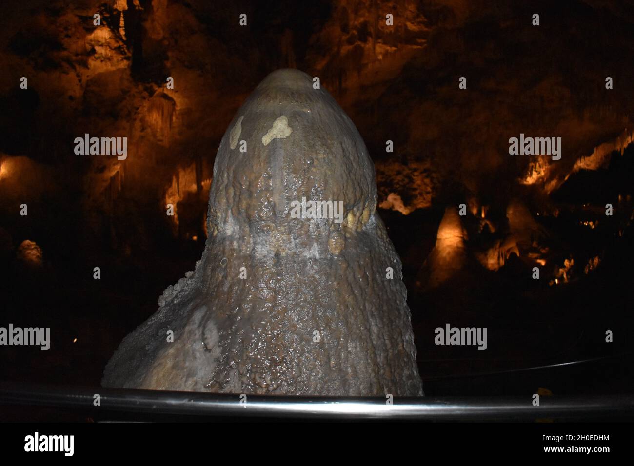 Cave creature hi-res stock photography and images - Alamy