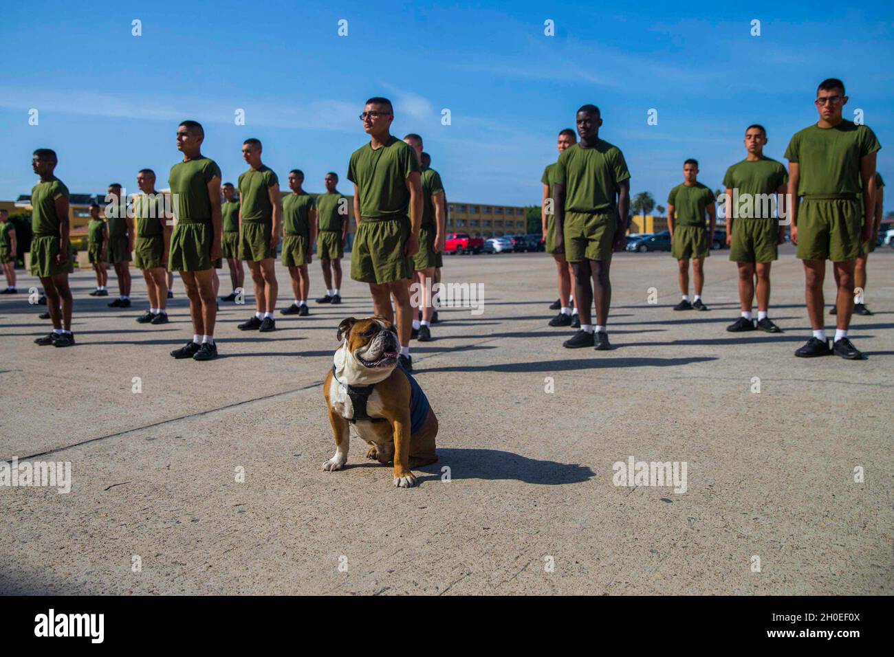 Lance Cpl. Manny, the Marine Corps Recruit Depot (MCRD), San Diego ...