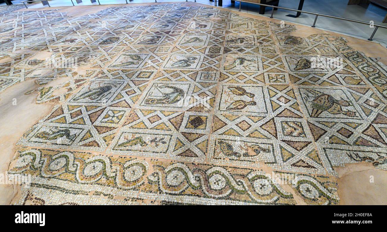 Plovdiv, Bulgaria. The Bishop's Basilica and the roman mosaic heritage ...