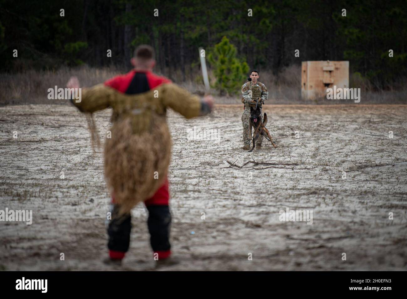 U.S. Air Force Staff Sgt. Kyle Maddox (right), a military working dog ...