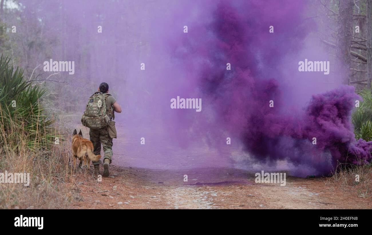U.S. Air Force Staff Sgt. Jessica Poteet, a military working dog ...