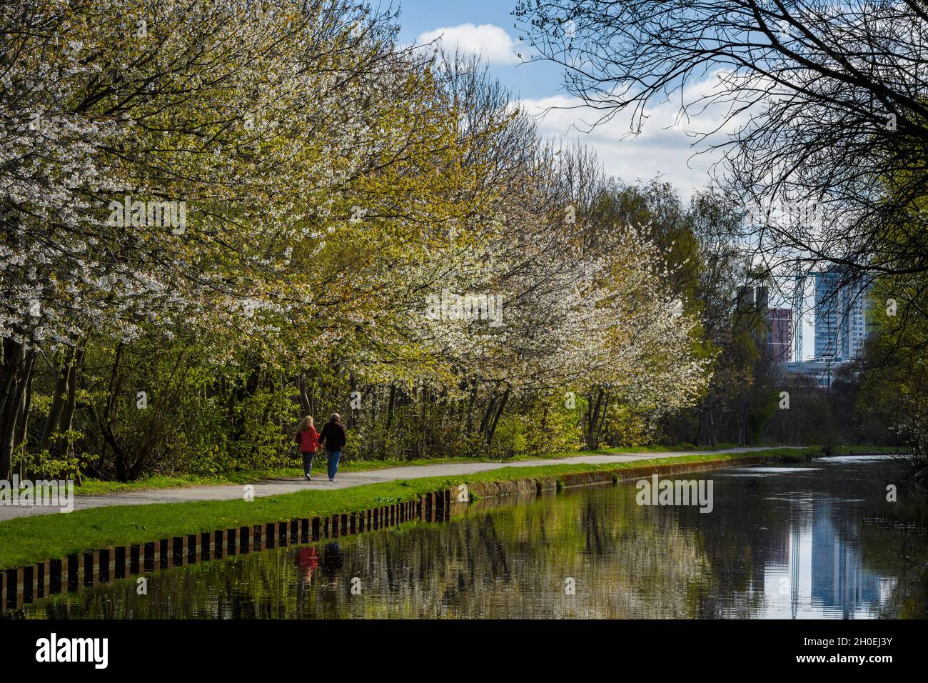 Scenic city centre walk (couple strolling, sunlit footpath, white ...