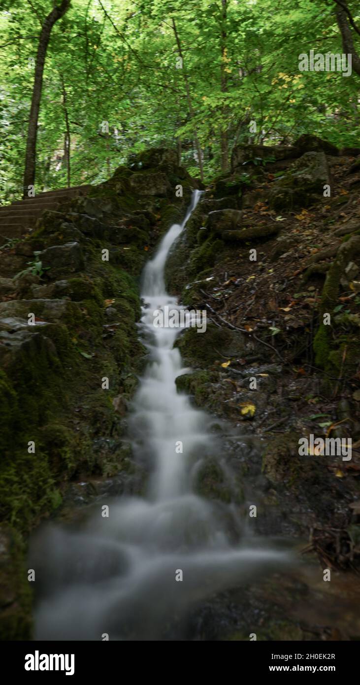 Long exposure shot of a stream running through the woods Stock Photo ...