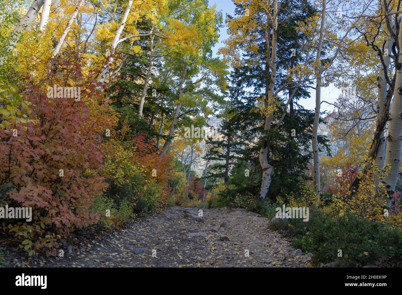 Canyon caché hi-res stock photography and images - Alamy