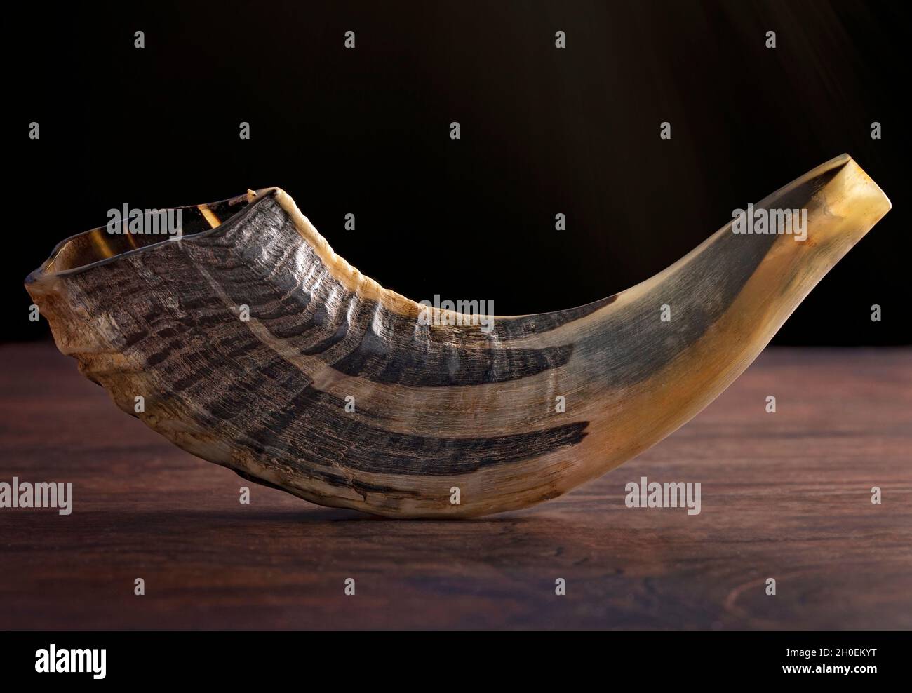 Rams horn hi-res stock photography and images - Alamy