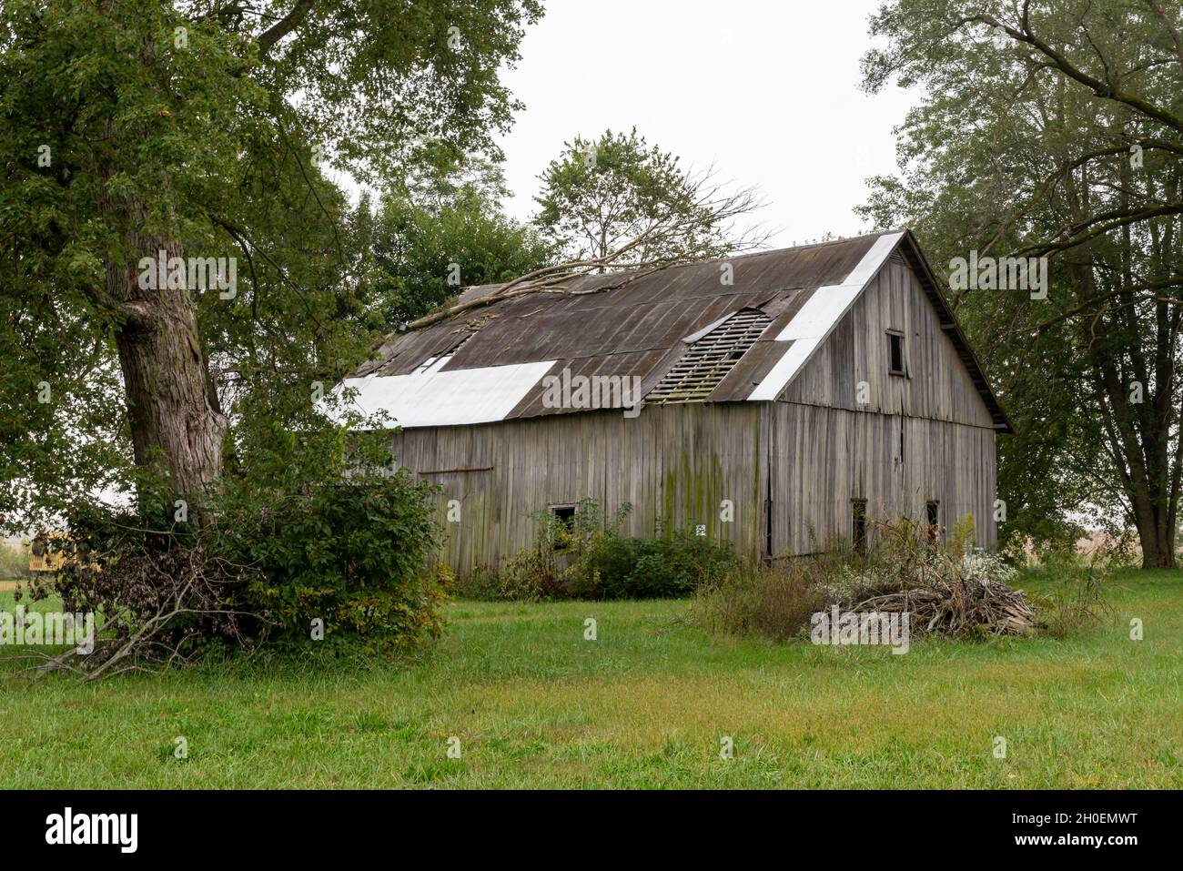 Shade trees hi-res stock photography and images - Alamy