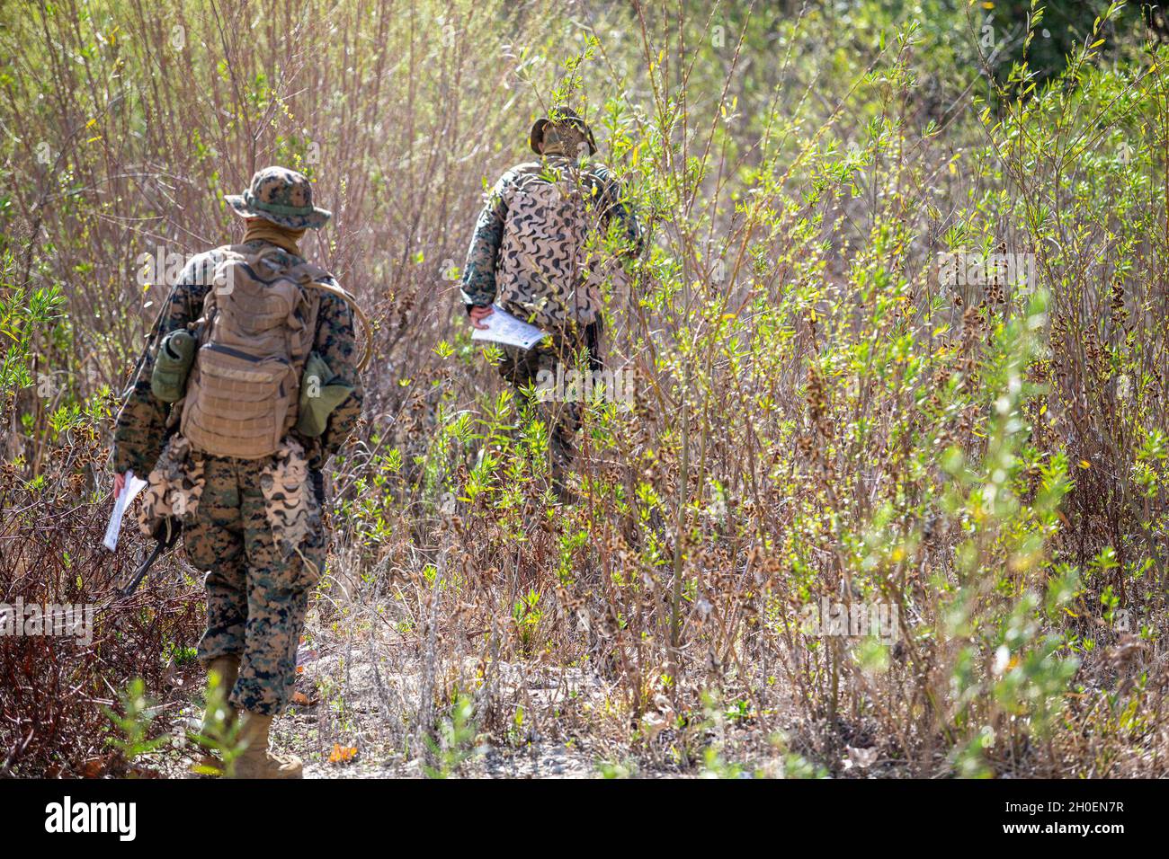 U.S. Marines with Alpha Company, Infantry Training Battalion, School of ...