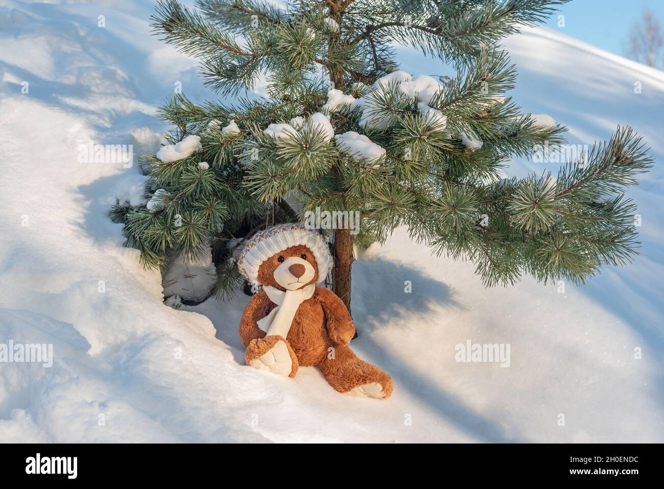 Cartoon teddy bear scarf hi-res stock photography and images - Alamy