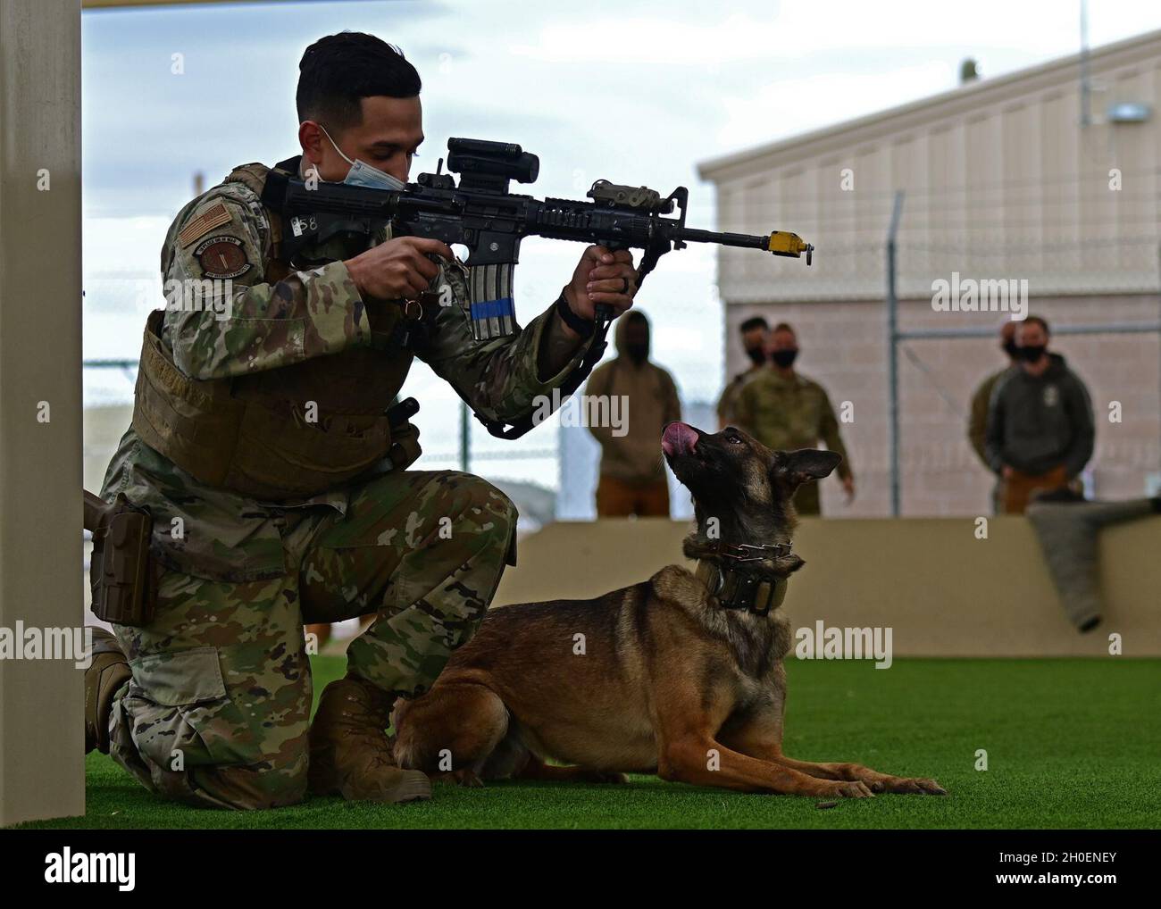 Ootter hi-res stock photography and images - Alamy