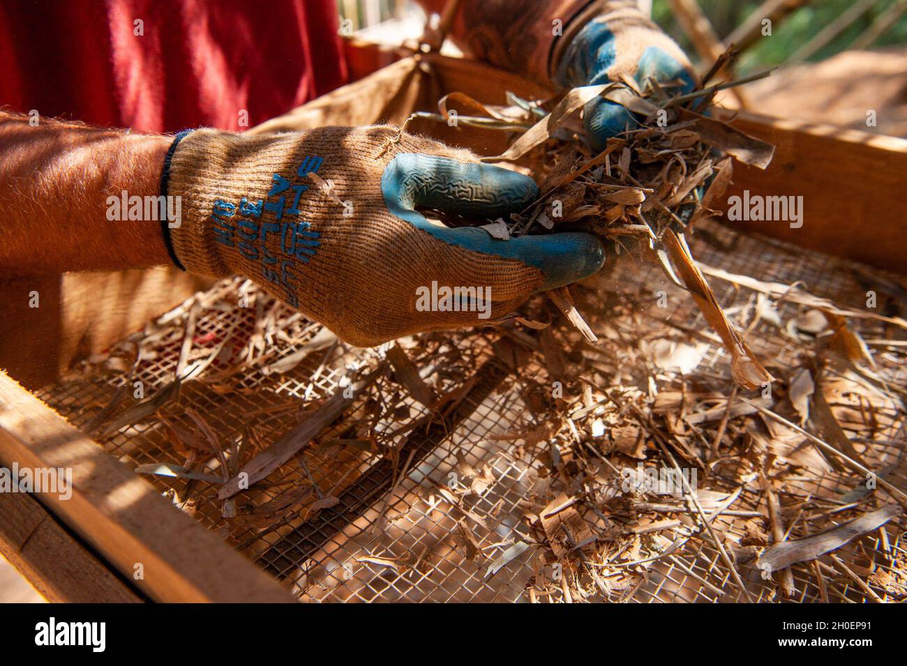 U.S. Army Sgt. 1st Class Jeffery Martin, a team sergeant with the ...