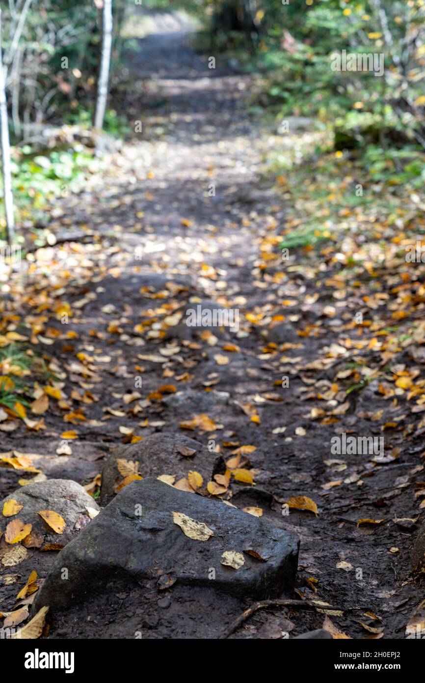 Large rocks along the Bean and Bear Lakes Loop trail, part of the ...