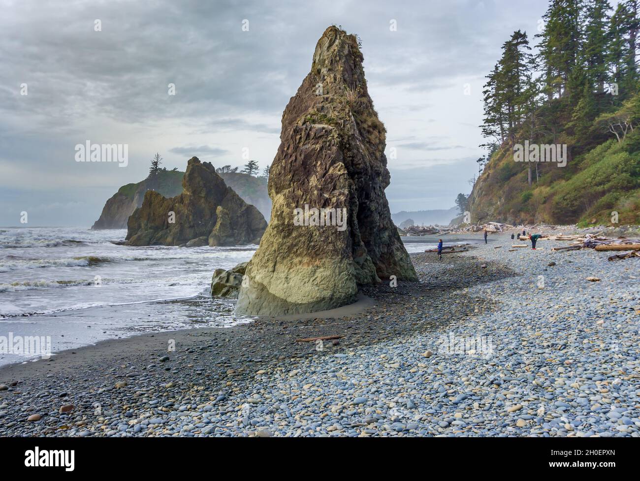 A natural rock monolith at Ruby Beach in Washington State Stock Photo ...