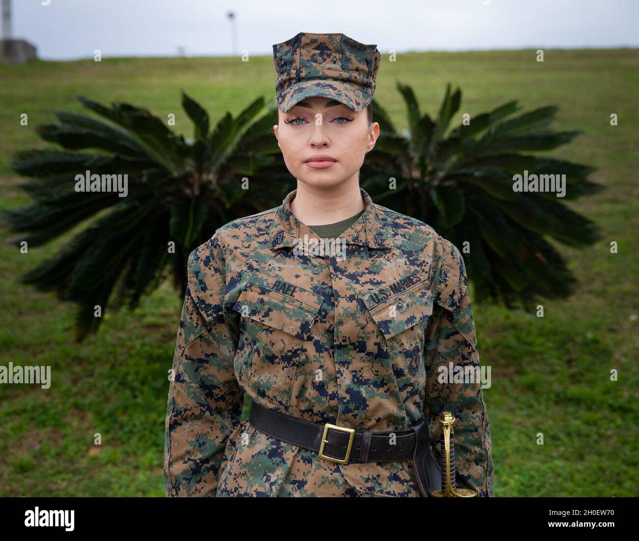 Superior excellence hi-res stock photography and images - Alamy