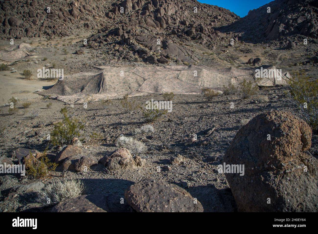 Cammie netting hi-res stock photography and images - Alamy