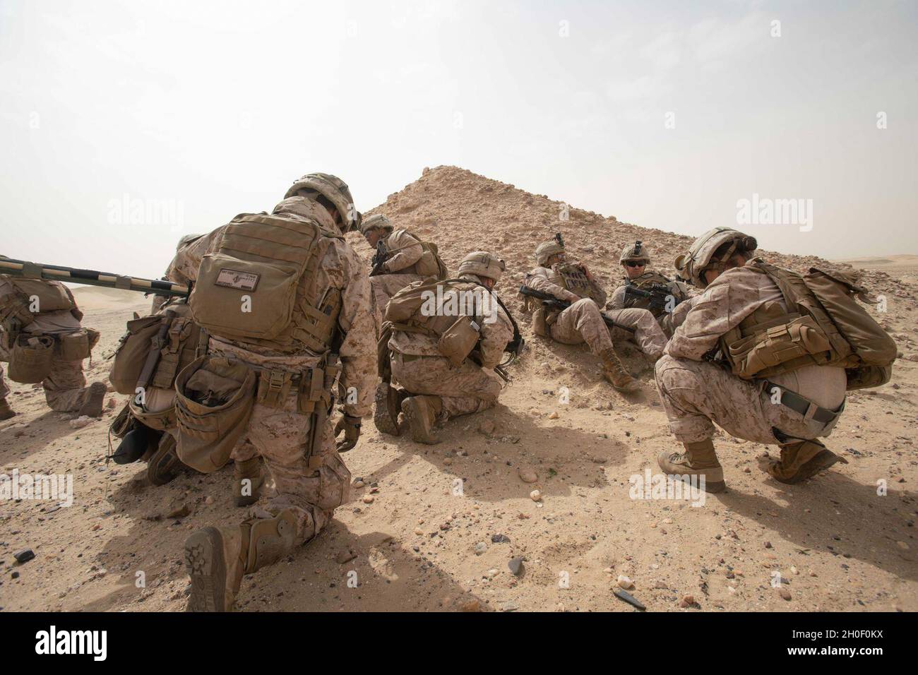 U.S. Marines with Combat Engineer Platoon, Battalion Landing Team 1/4 ...
