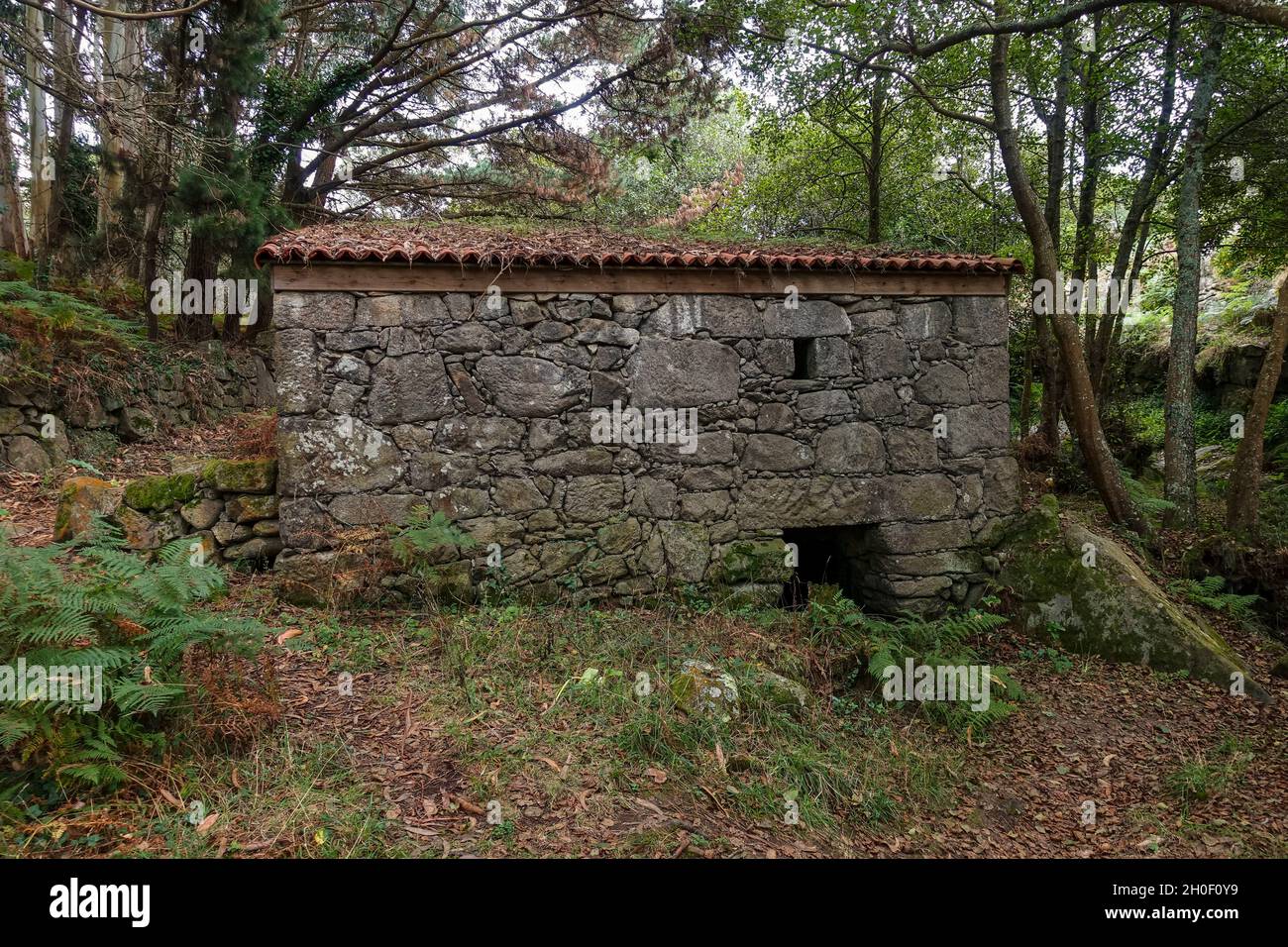 Senda fluvial del rio fraga hi-res stock photography and images - Alamy