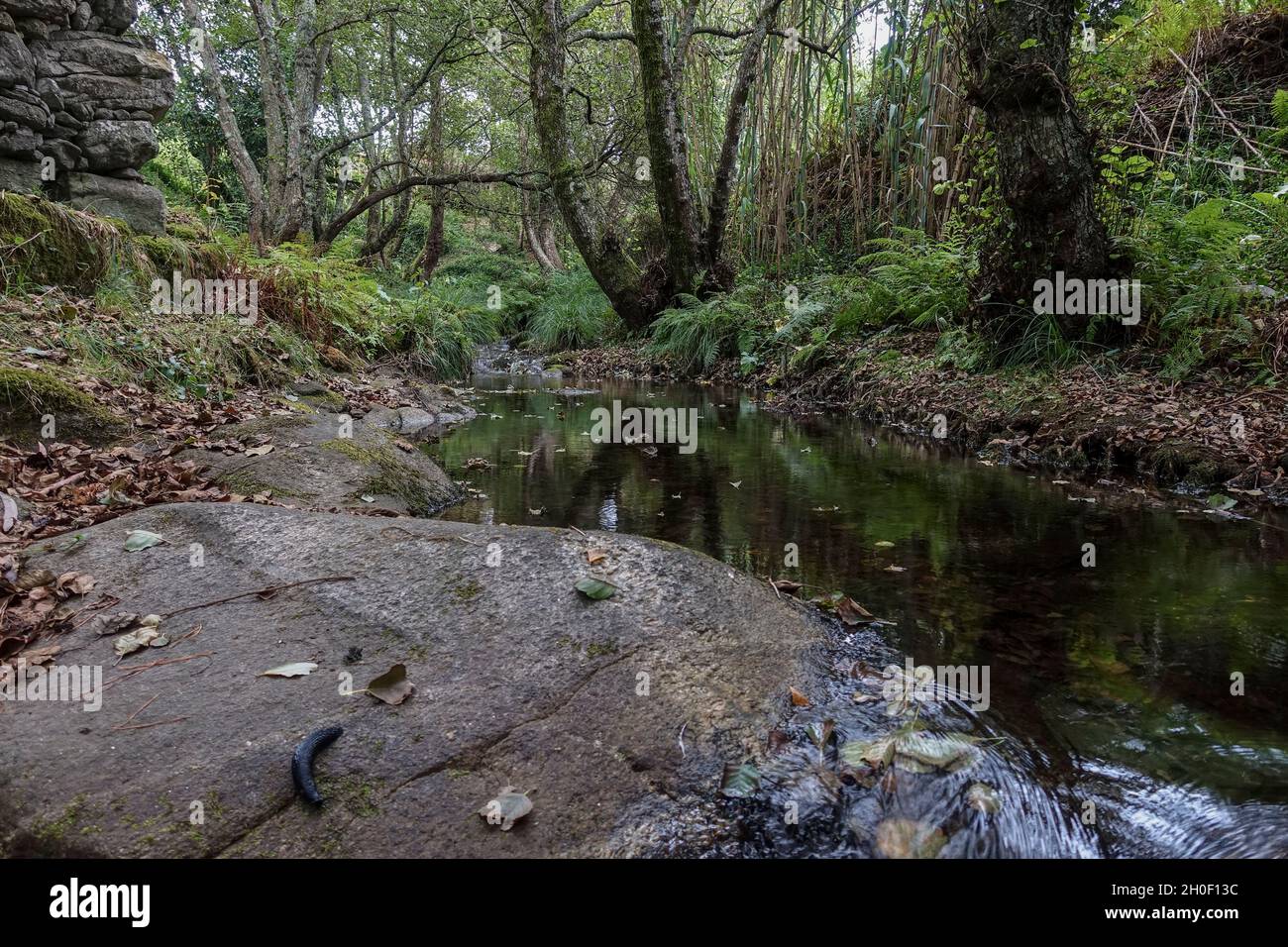 Senda fluvial do rio fraga hi-res stock photography and images - Alamy