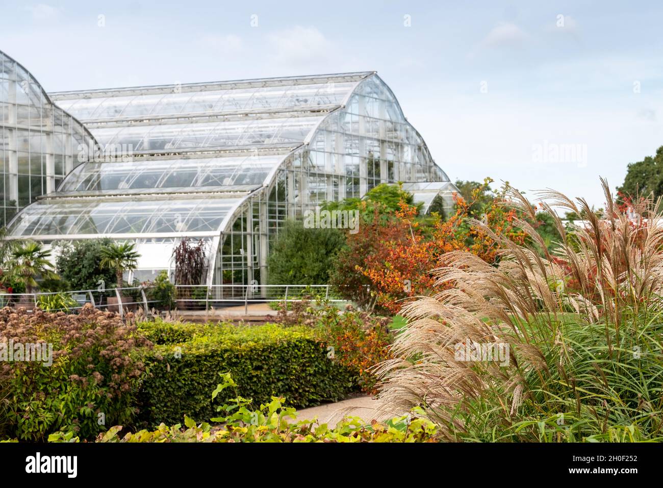Variety of shrubs, plants and ornamental grasses, photographed at the ...