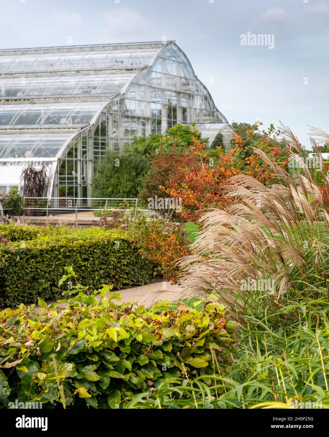 Variety of shrubs, plants and ornamental grasses, photographed at the ...