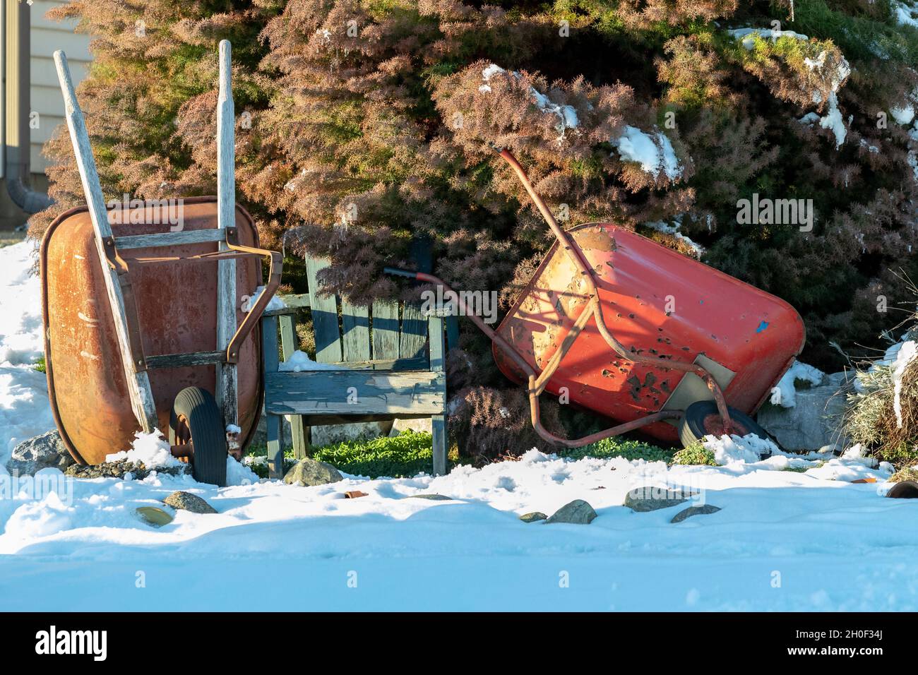 Wheel barrow and garden seat in the winter snow Stock Photo - Alamy