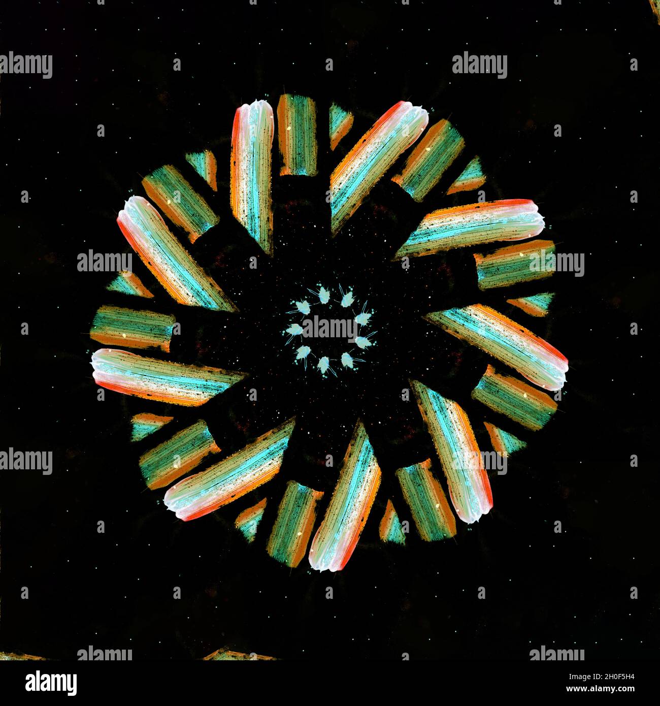 STP Screen Transfer Process - 290 - Bleach Burn 4 3 Mandala Stock Photo - Alamy
