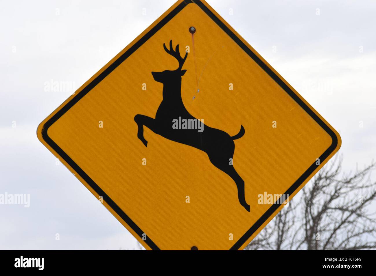 A deer crossing sign at Joint Base McGuire-Dix-Lakehurst, N.J., on Feb ...