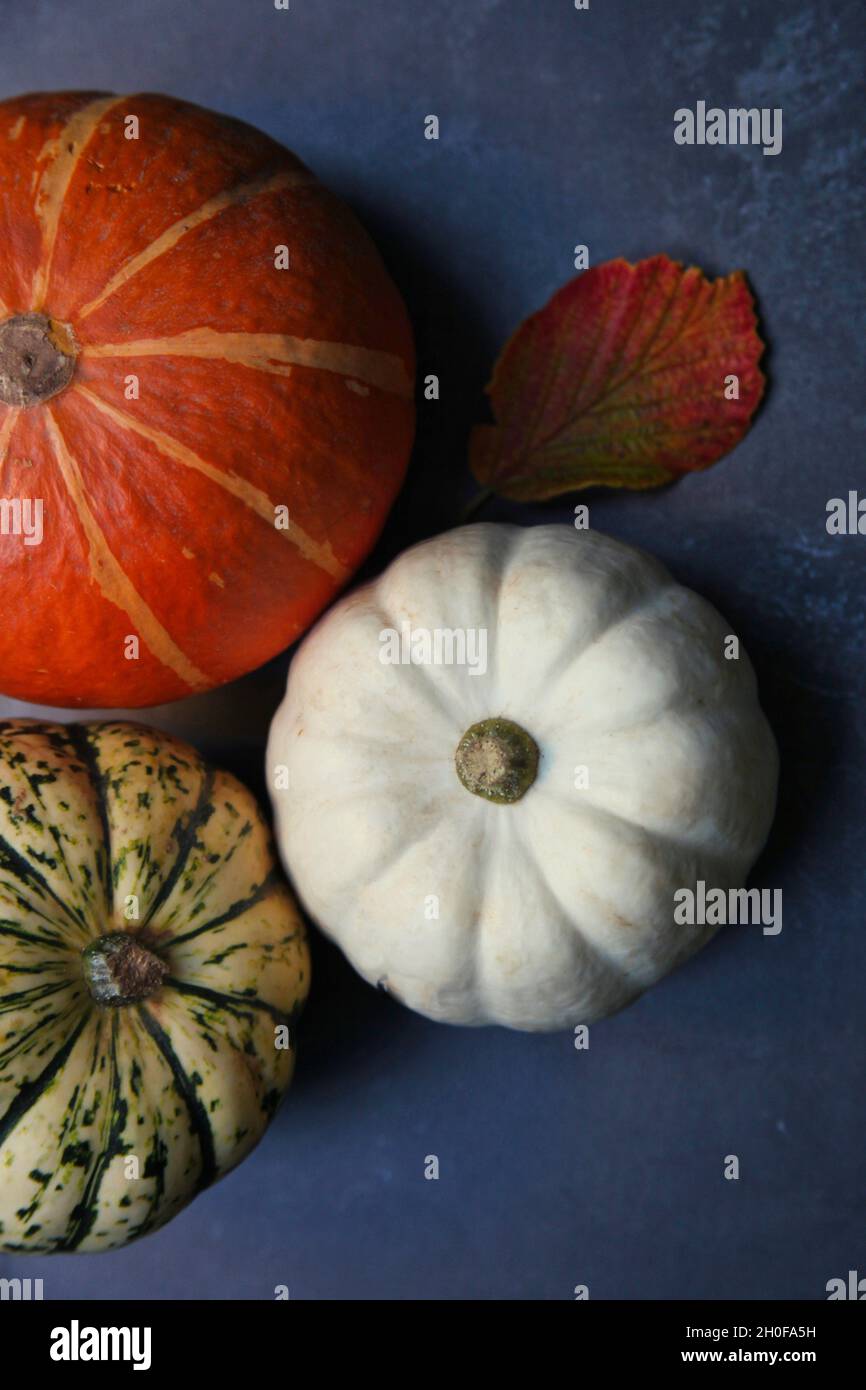 overhead vertical image of a group of three varieties of squash and ...