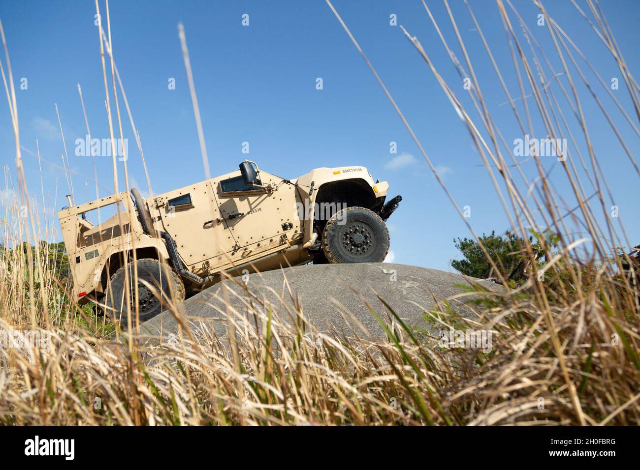 3d mardiv hi-res stock photography and images - Alamy