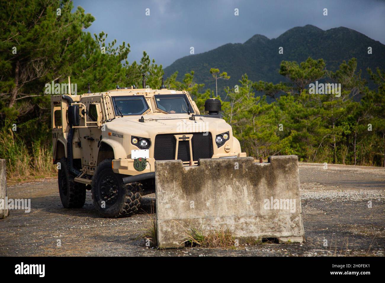 3d mardiv hi-res stock photography and images - Alamy