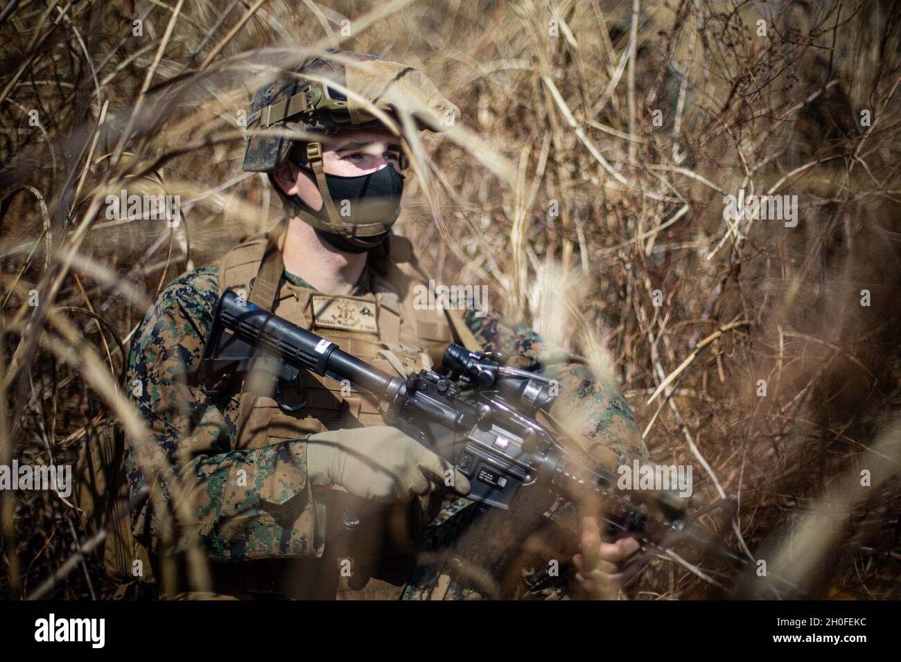U.S. Marine Corps Lance Cpl. Terrance Donovan, a field radio operator ...