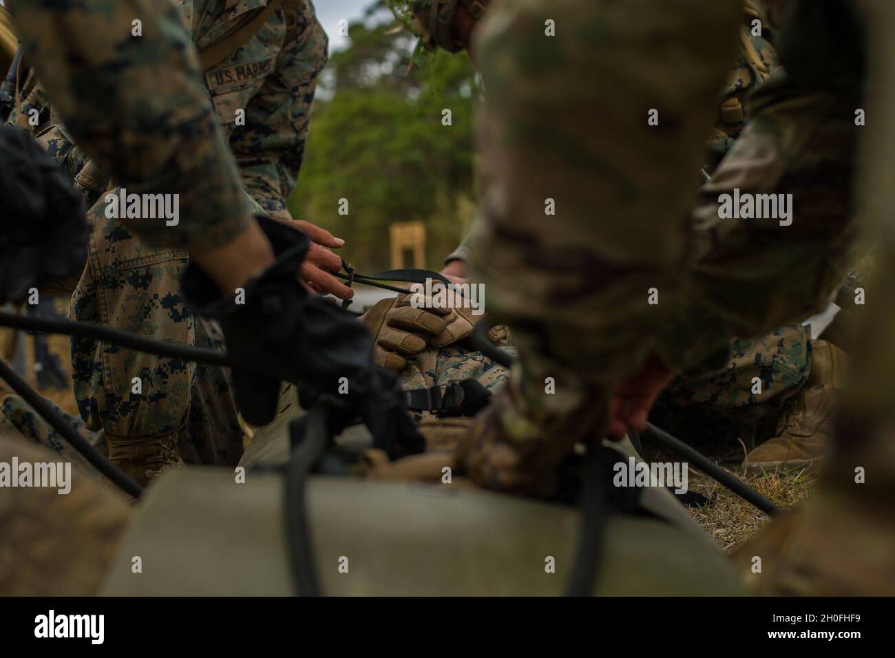 U.S. Marines and Soldiers conduct a casualty evacuation during the ...