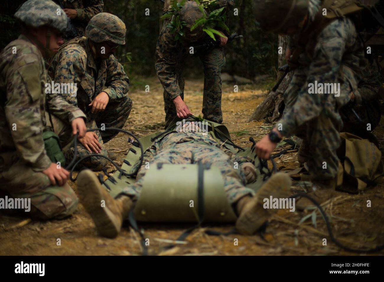 U.S. Marines and Soldiers conduct a casualty evacuation during the ...